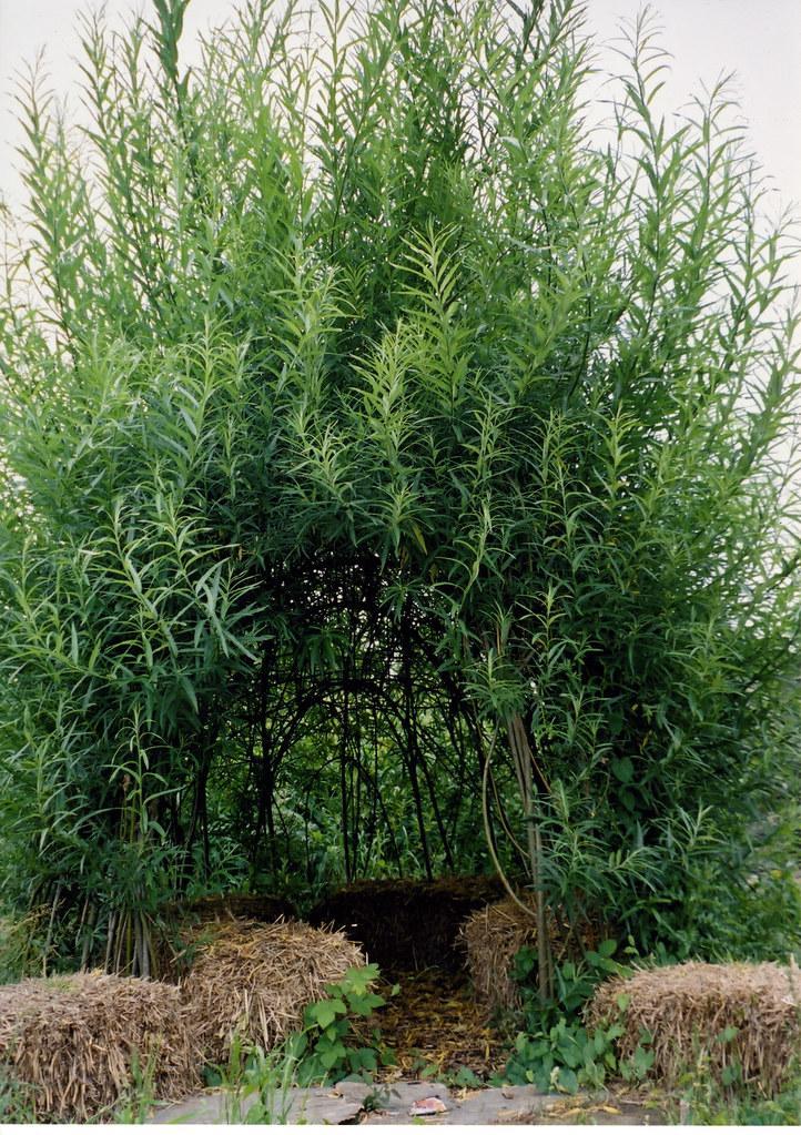 How to Create a Sacred Space for Prayer and Worship - Little Tree Food ...
